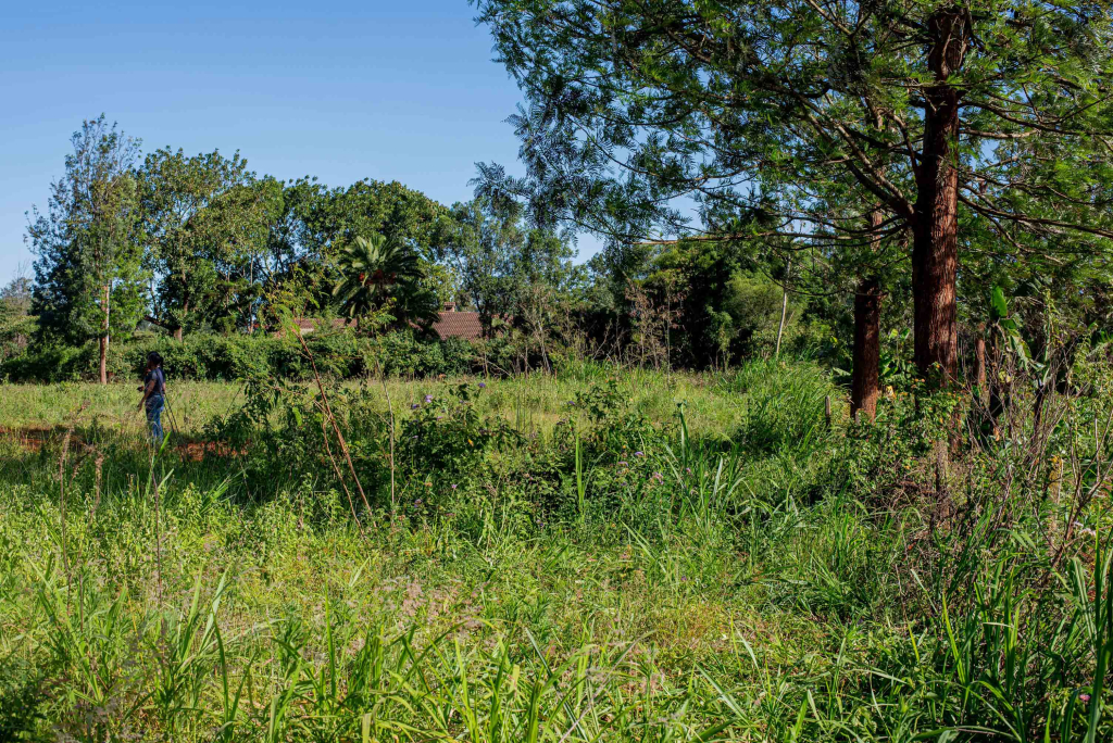 Muthaiga - near Muthaiga Shopping Centre - Nestate Agency Ltd